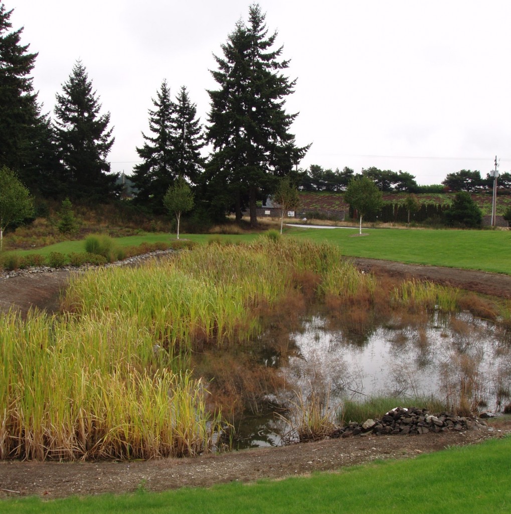 SR 510-Infiltraion Pond - Stormwater Report