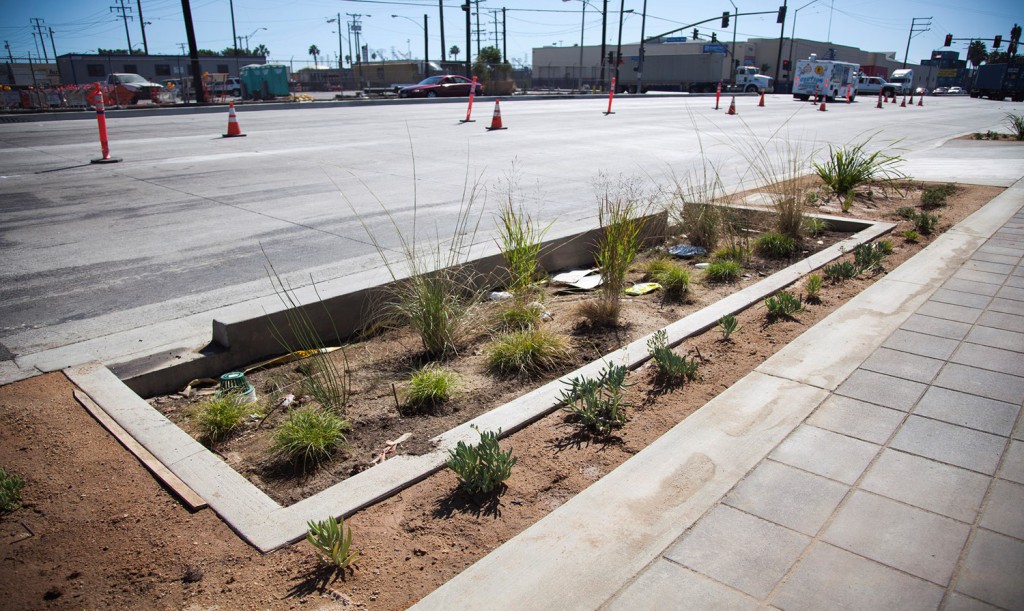 Bioswales - Stormwater Report