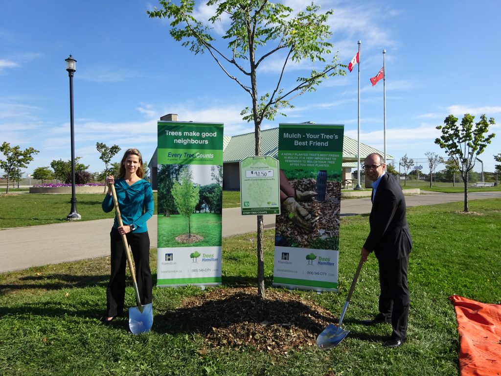 Canadian city “prices” 150 local trees for National Tree Day ...