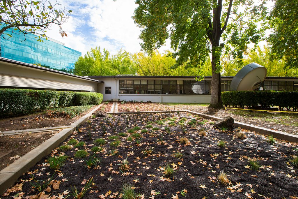 Sacramento State stormwater project cuts pollution, raises awareness ...