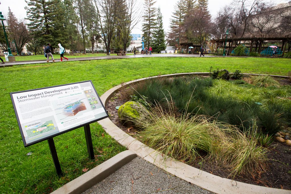 Sacramento State stormwater project cuts pollution, raises awareness ...