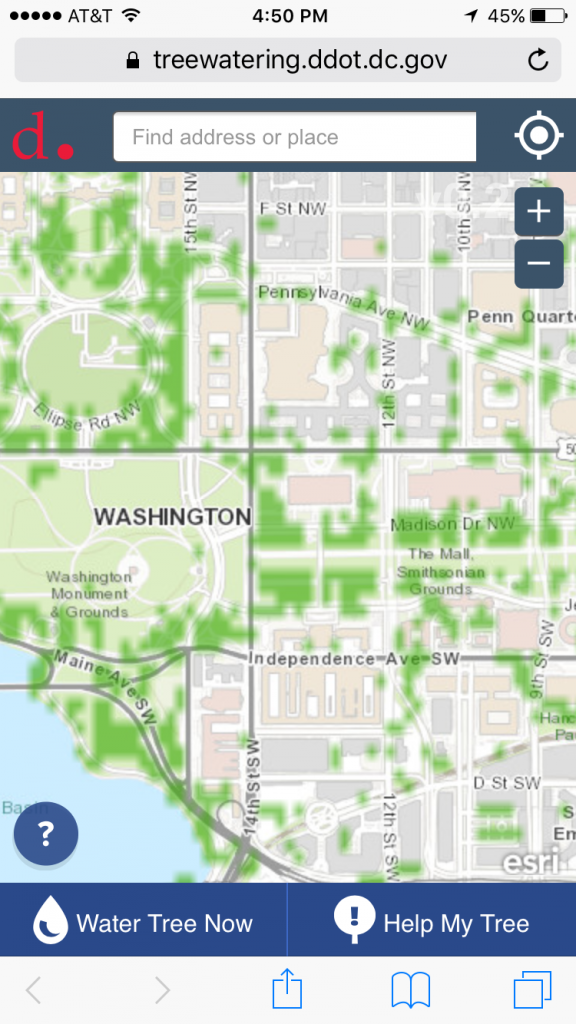Washington, D.C., launches tree watering app - Stormwater Report