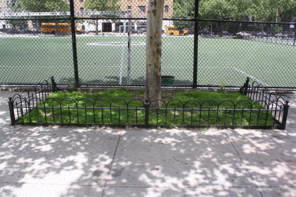 Standing guard around trees to increase stormwater infiltration ...