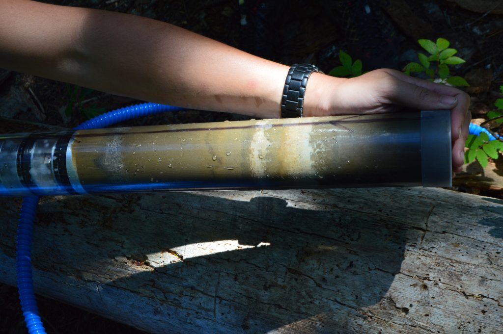 Researchers read tea leaves to study precipitation across millennia ...