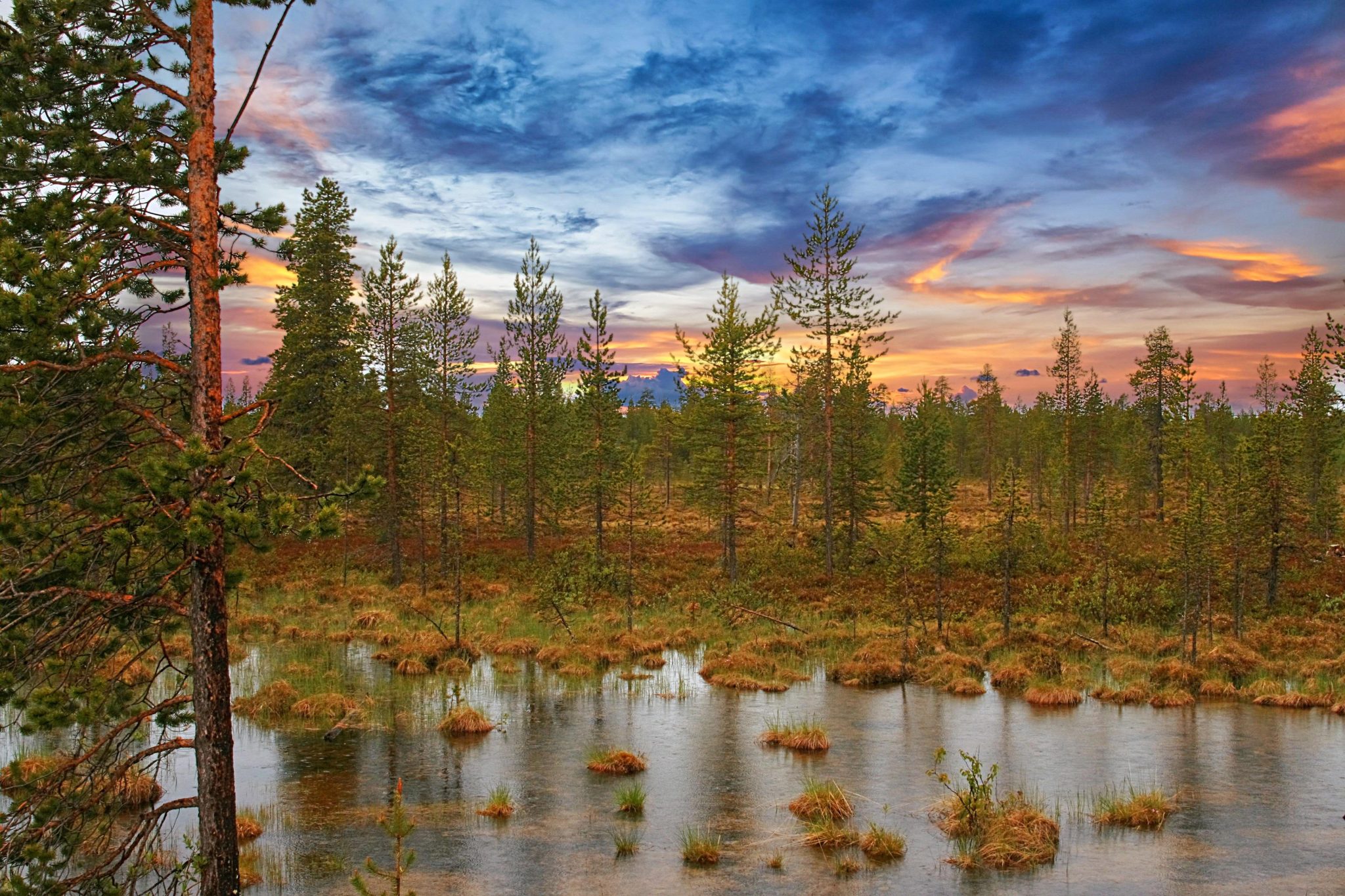 Small, Disconnected Wetlands Trap Twice as Much Nitrogen - Stormwater ...