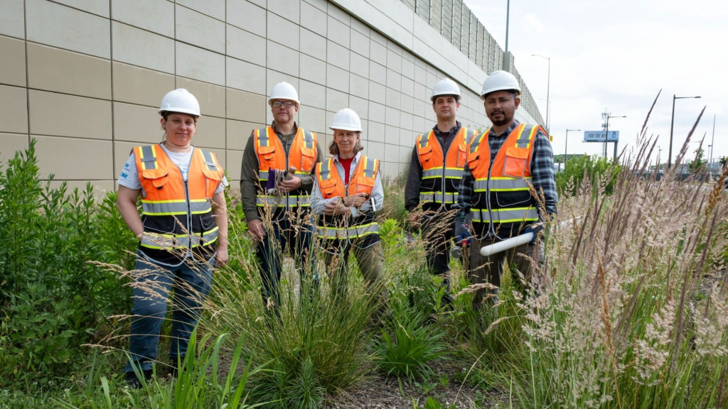 Researchers Determine Mystery Cause Behind Brown Bioretention Basins ...