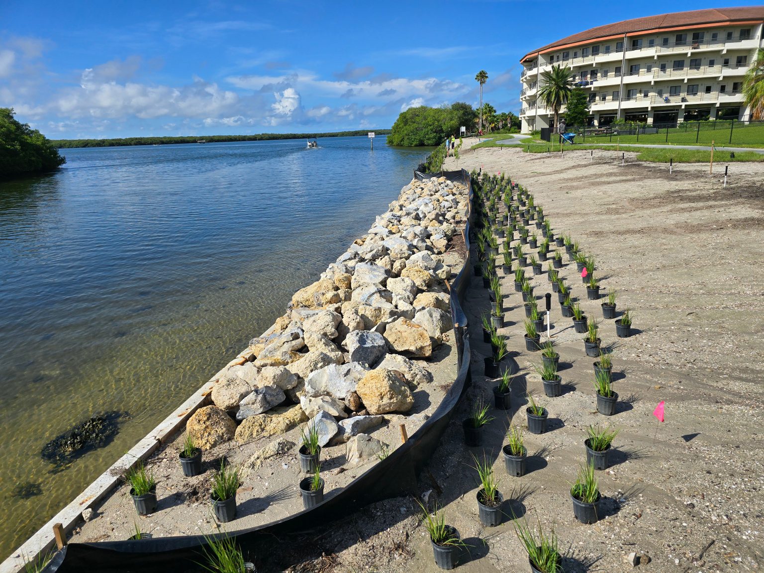 'Living Shoreline' on Florida Campus Scraps Seawall in Favor of ...