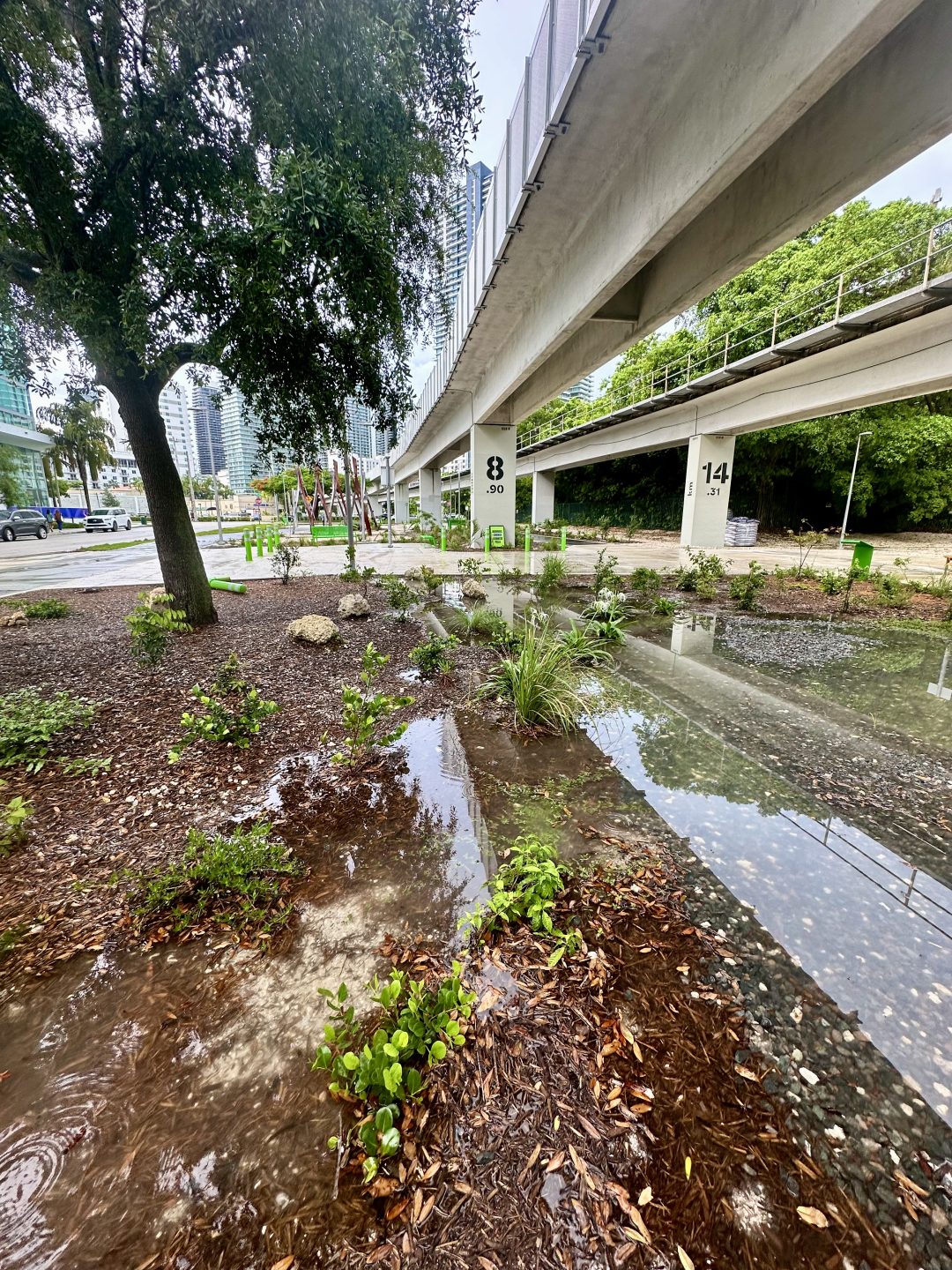 Miami ‘Underline’ Delivers Fun and Function Beneath Elevated Metro ...
