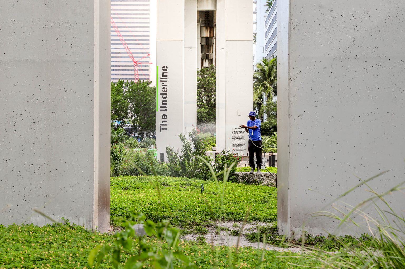 Miami ‘Underline’ Delivers Fun and Function Beneath Elevated Metro ...